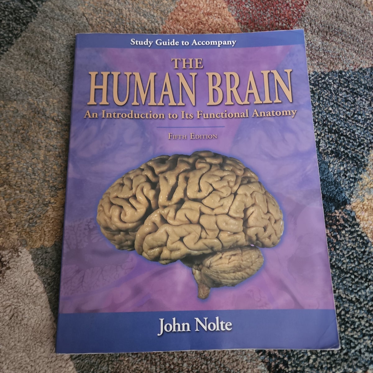 The Human Brain by John Nolte, Paperback | Pangobooks