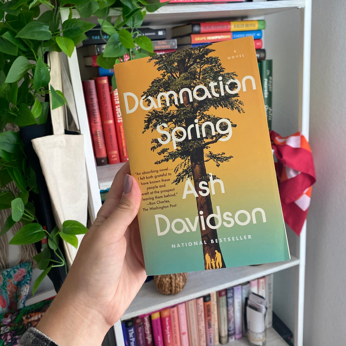 Damnation Spring by Ash Davidson, Paperback | Pangobooks