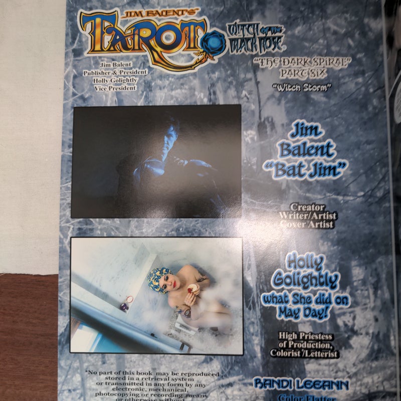 Tarot: Witch of the Black Rose #80 by Jim Balent; Holly Golightly ...