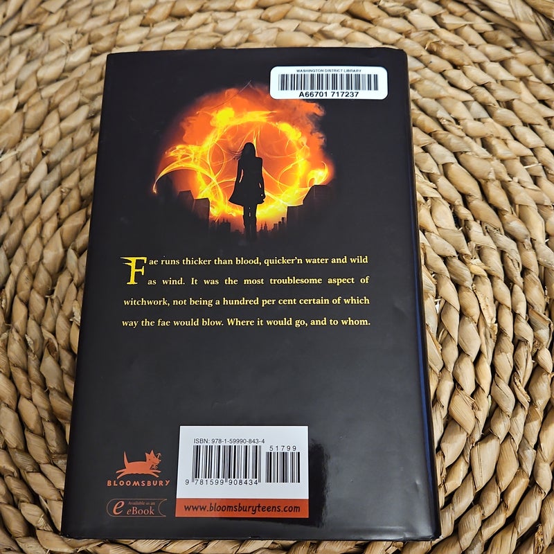 Burn Mark by Laura Powell