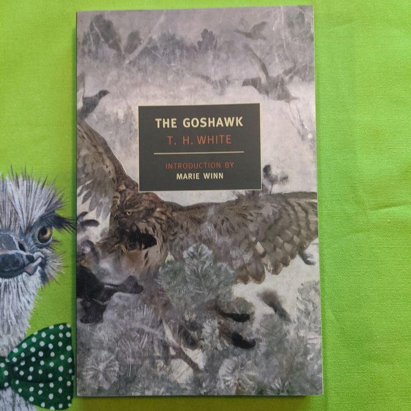 The Goshawk by T. H. White, Marie. Winn