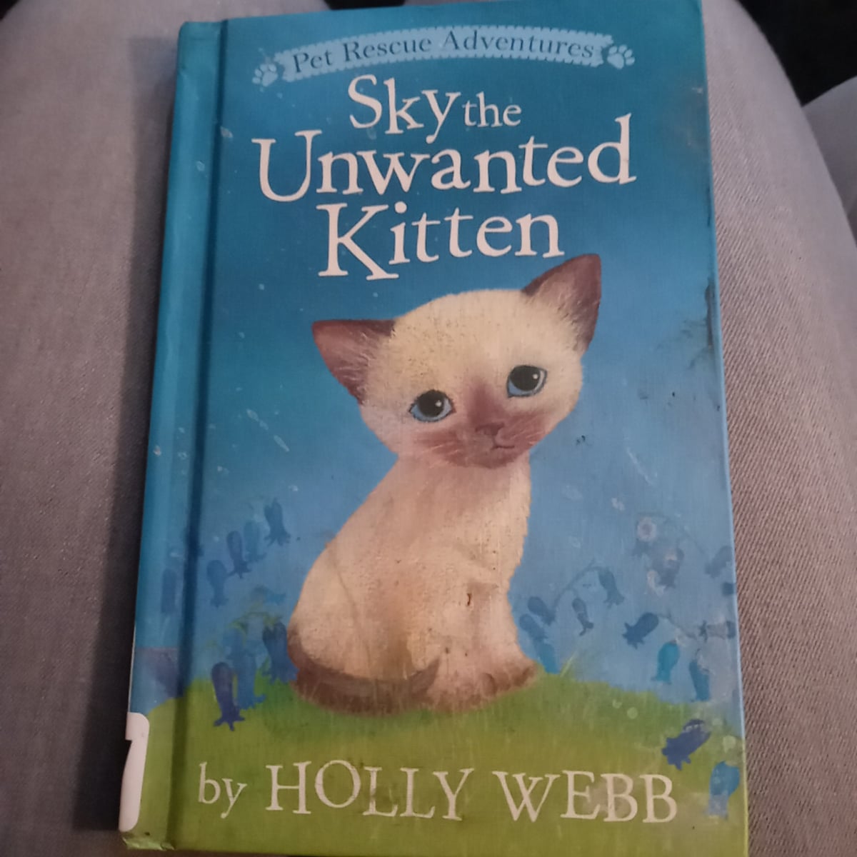 Sky the Unwanted Kitten by Holly Webb; Sophy Williams (Illustrator)