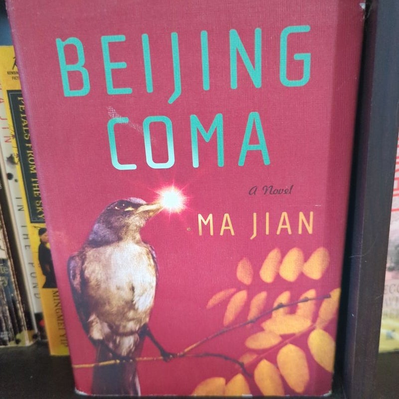 Beijing Coma by Ma Jian, Hardcover | Pangobooks