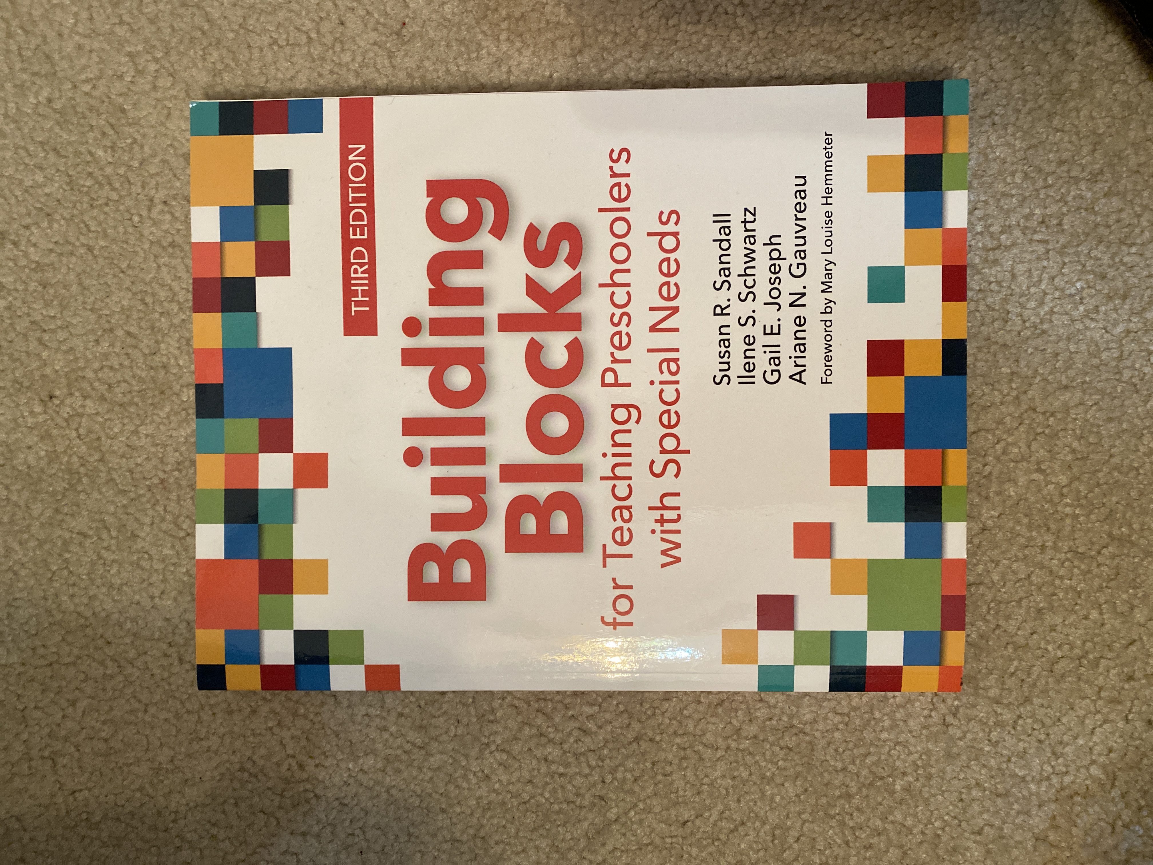 Building Blocks for Teaching Preschoolers with Special Needs by Susan ...