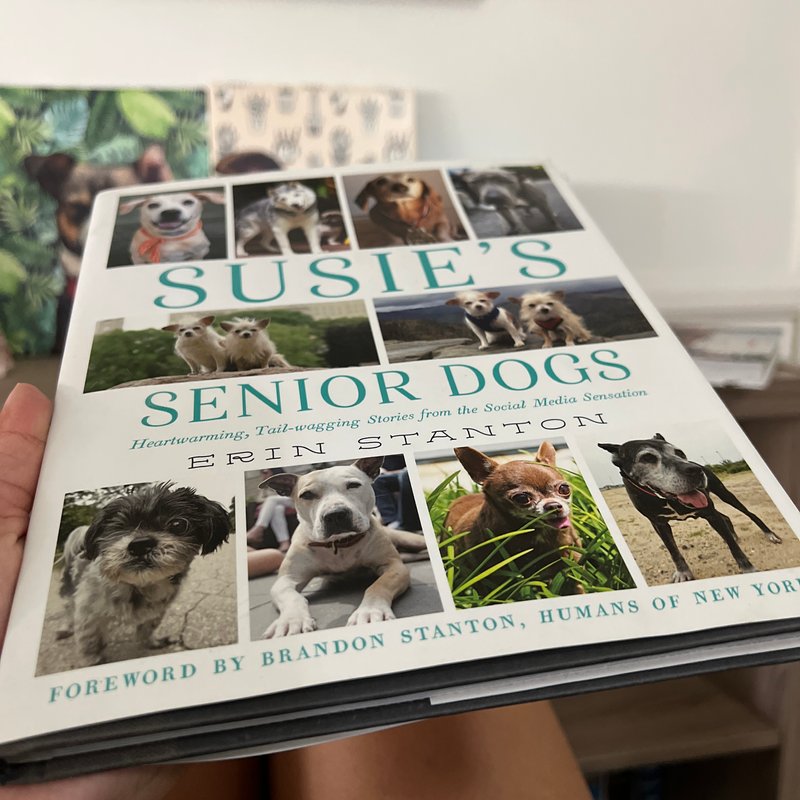 Susie's Senior Dogs by Erin Stanton