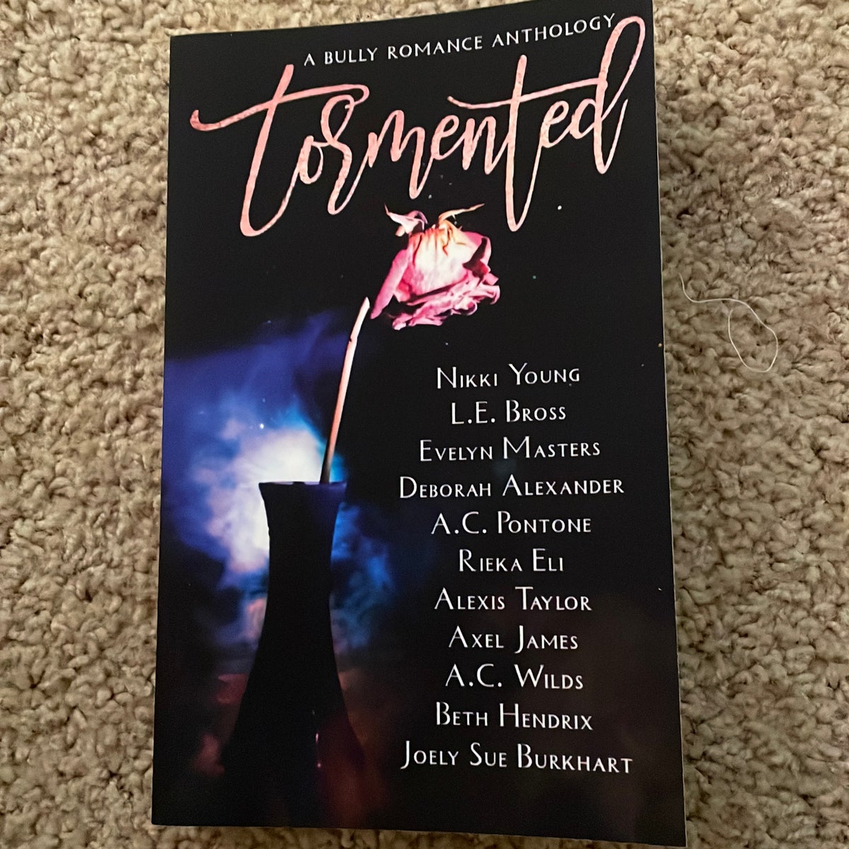 Tormented by Joely Sue Burkhart, A. C. Wilds, Beth Hendrix, Deborah ...
