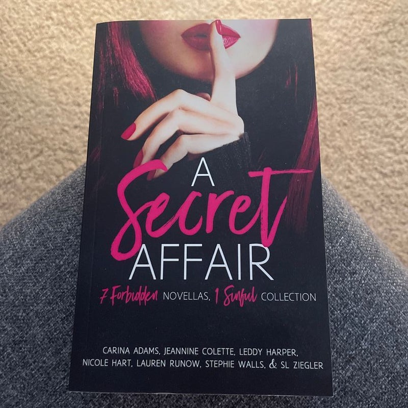 A Secret Affair by Leddy Harper
