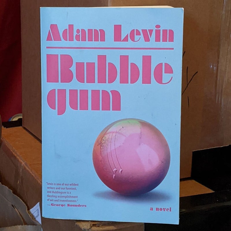 Bubblegum by Adam Levin