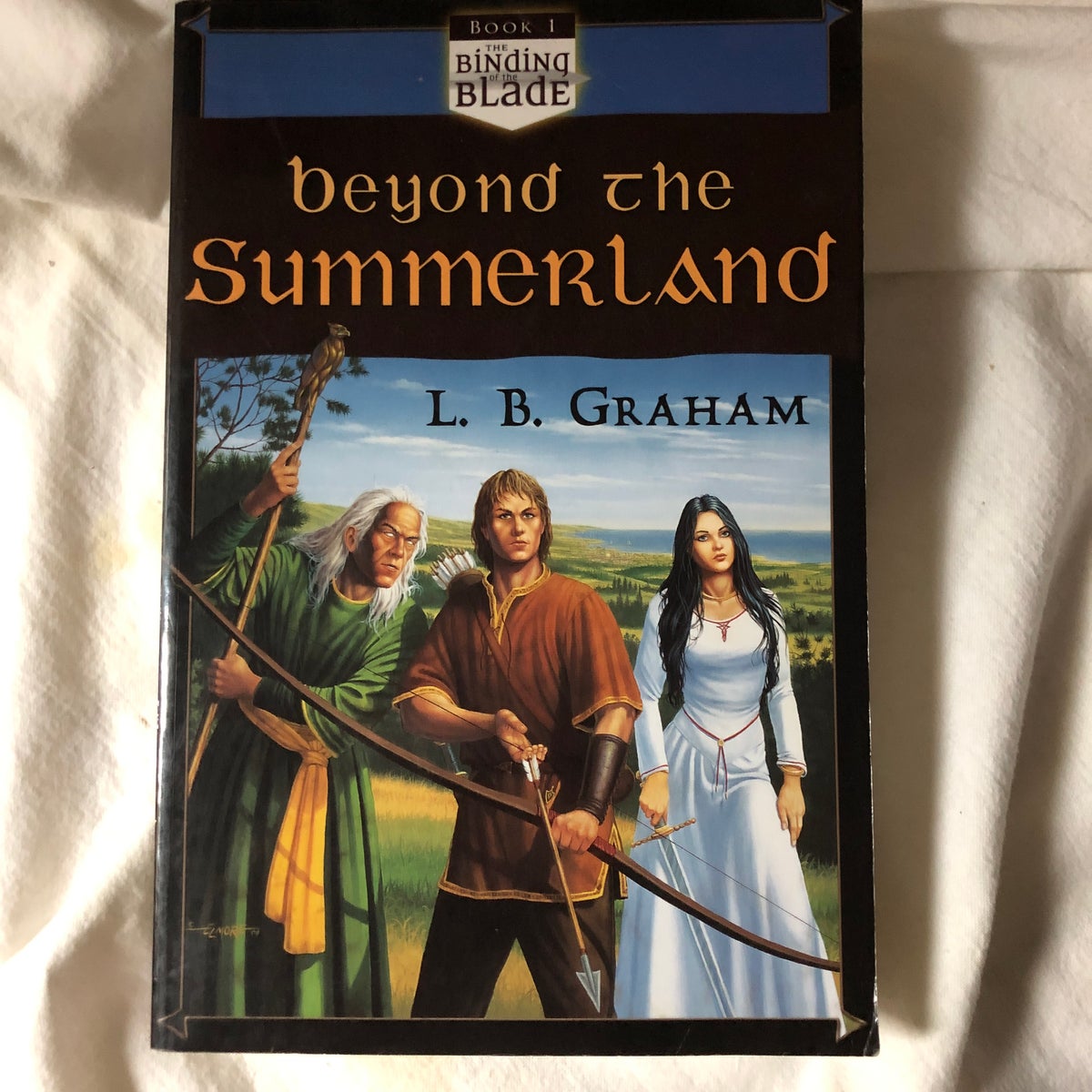 Beyond the Summerland by L. B. Graham, Paperback | Pangobooks