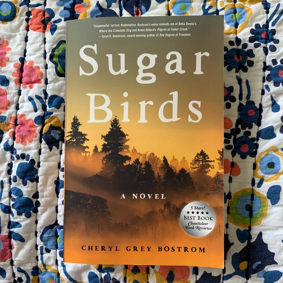 Sugar Birds by Cheryl Grey Bostrom