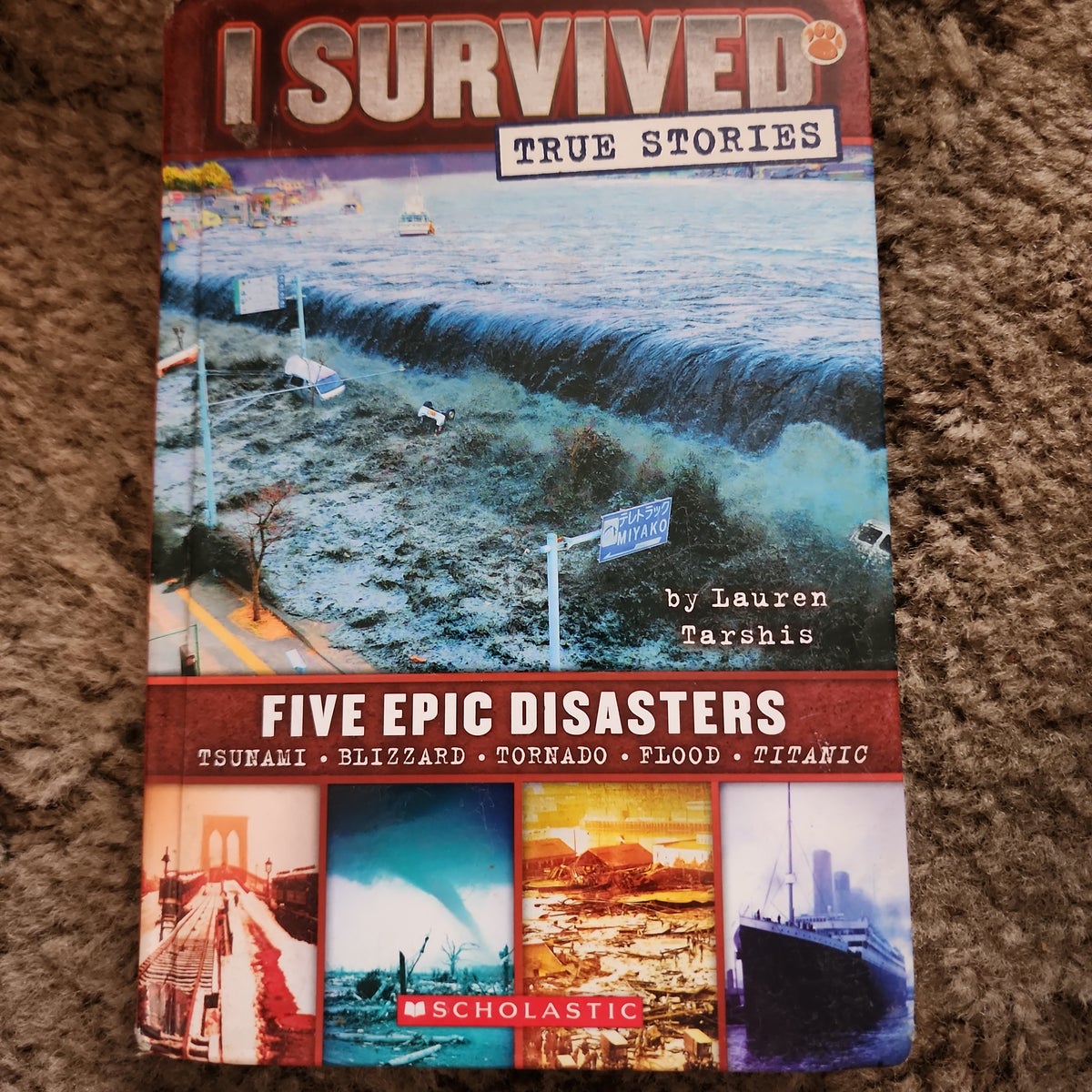 I Survived True Stories by Lauren Tarshis, Hardcover | Pangobooks