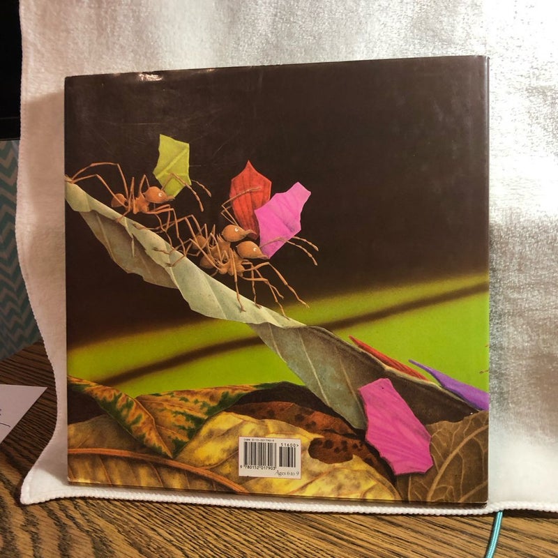 Crickwing by Janell Cannon