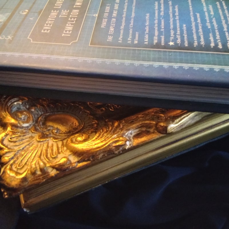 The Templeton Twins Make a Scene by Ellis Weiner