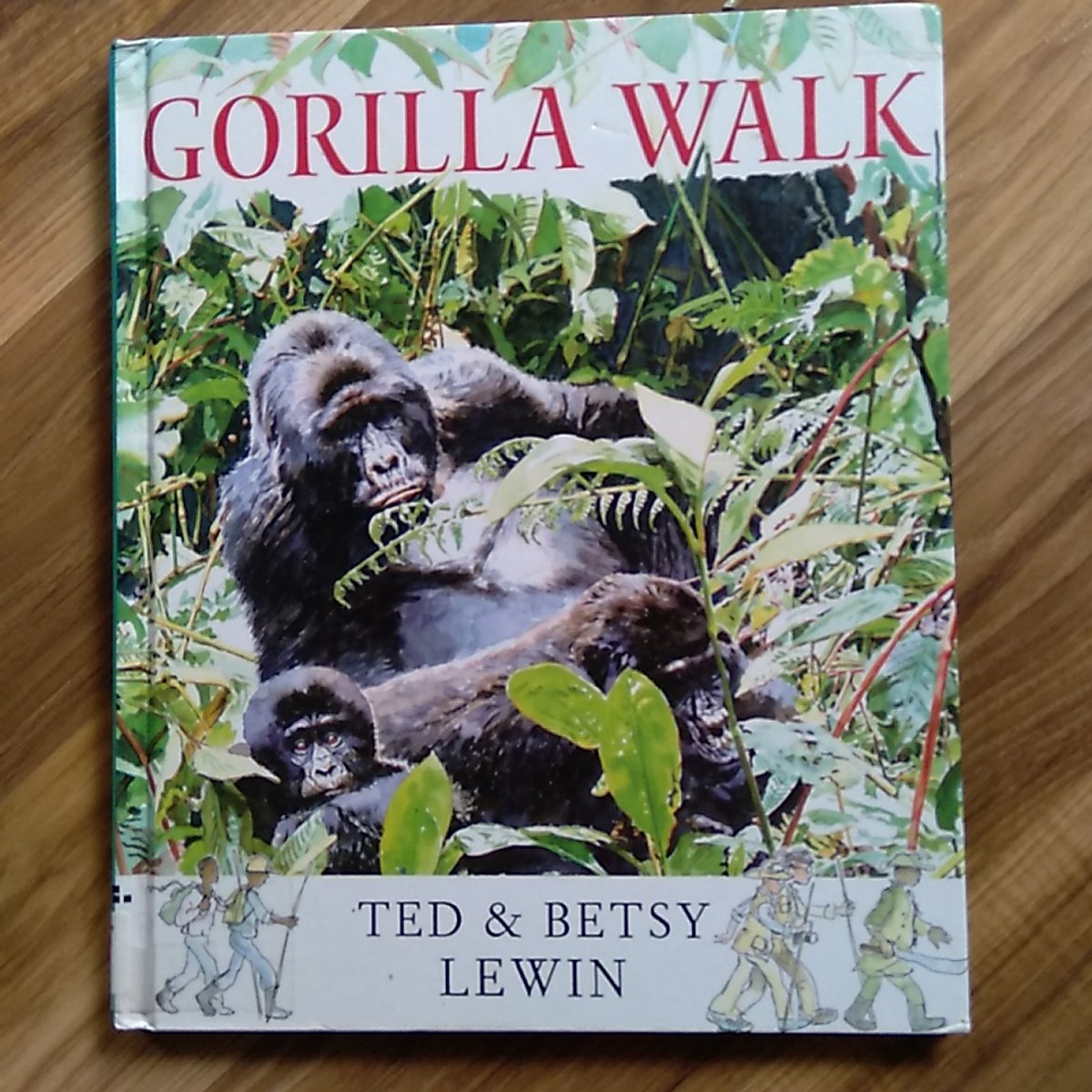 Gorilla Walk by Ted Lewin