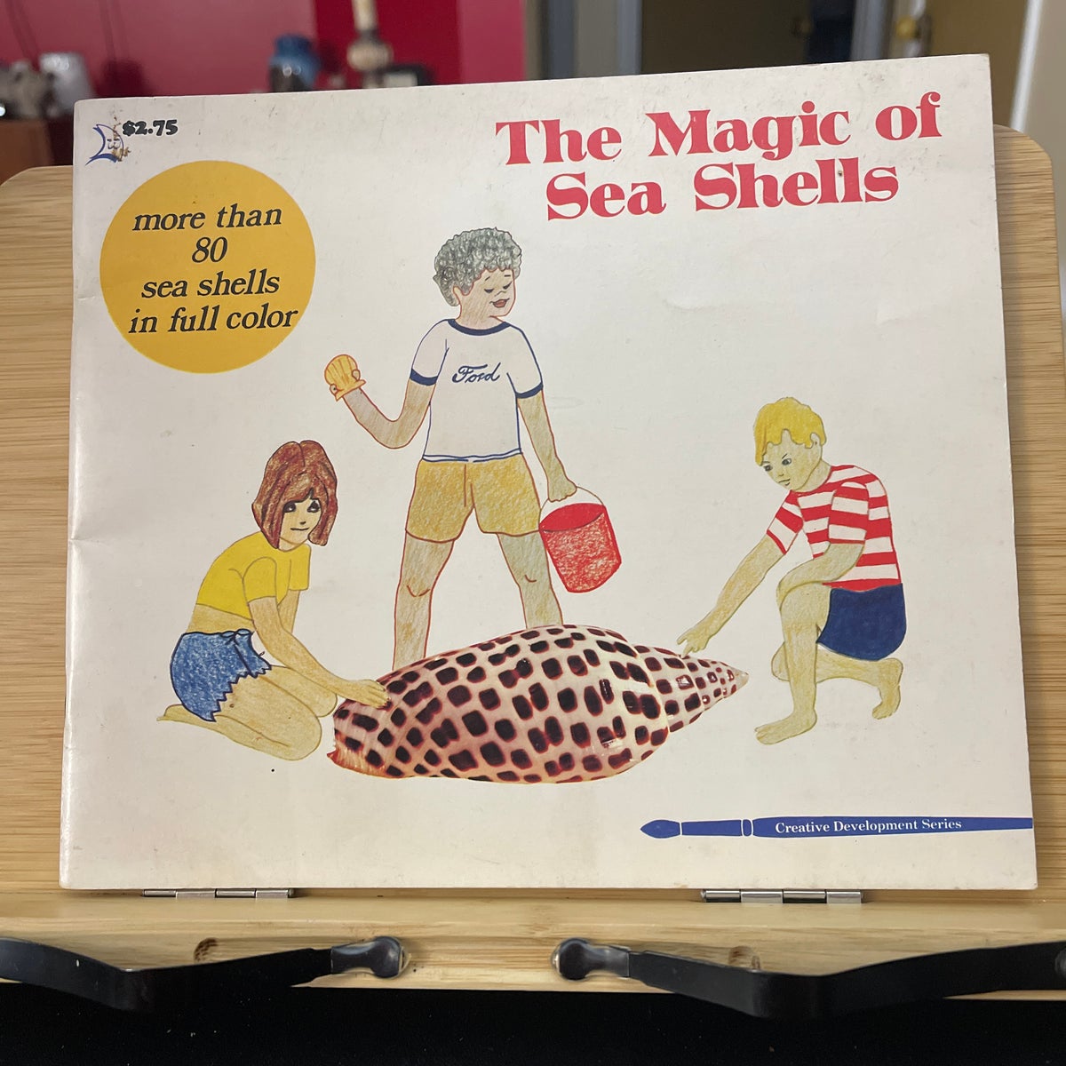 The Magic of Seashells by Fredlee