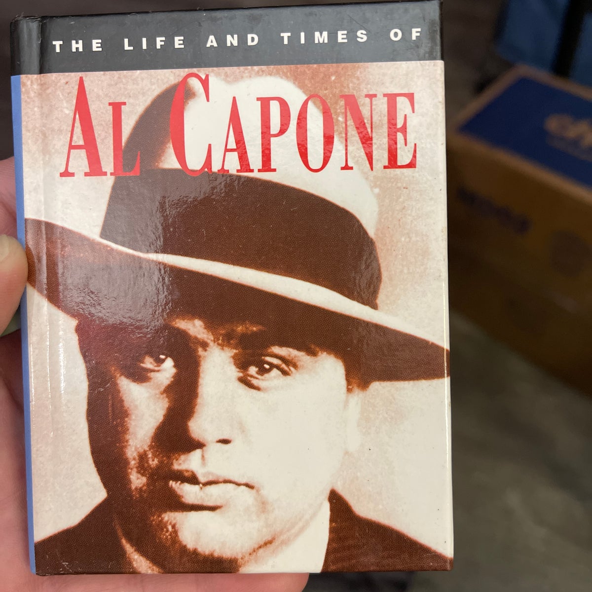 Life and Times of Al Capone by undefined, Hardcover | Pangobooks