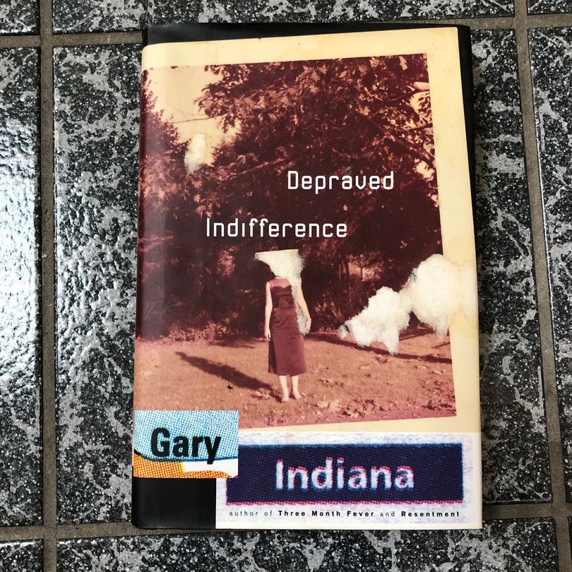 Depraved Indifference by Gary Indiana, Hardcover | Pangobooks