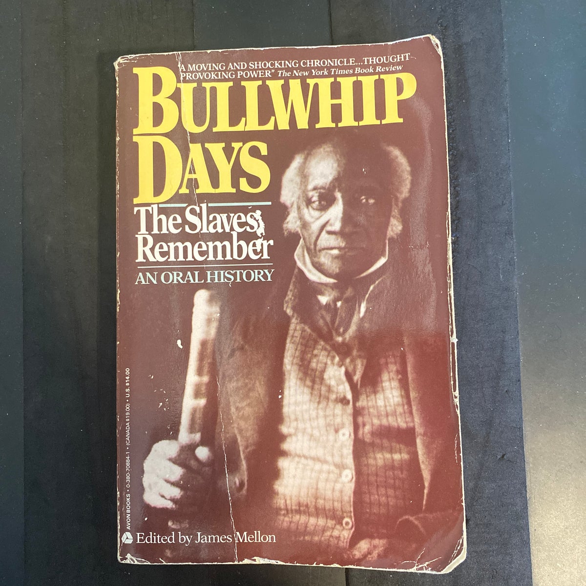 Bullwhip Days by James Mellon