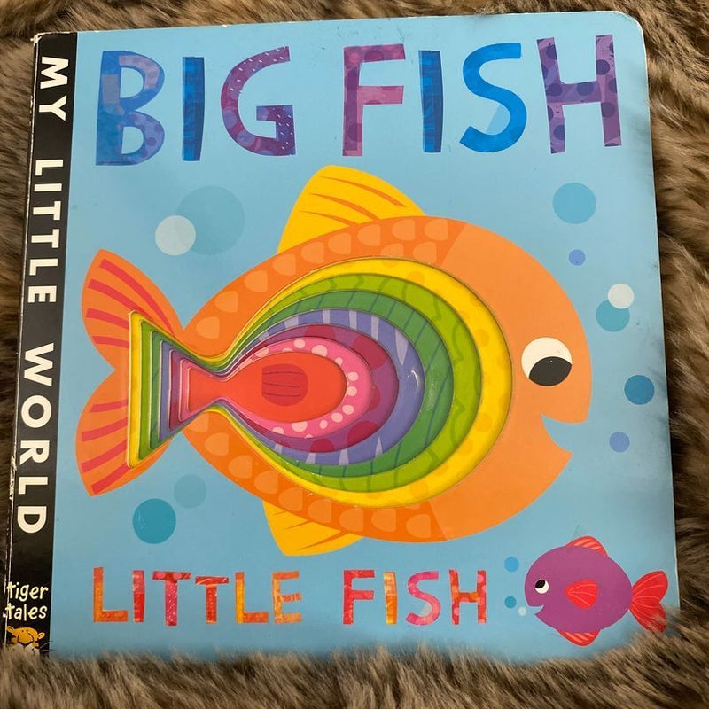 Big Fish Little Fish