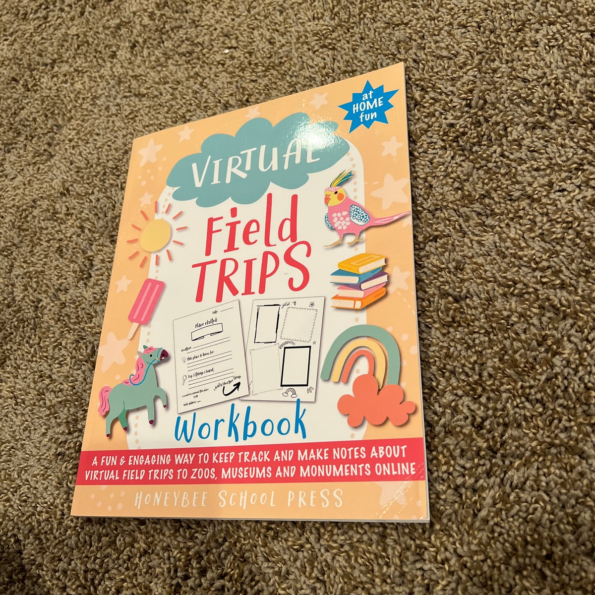 Virtual Field Trips Workbook by Honeybee Press