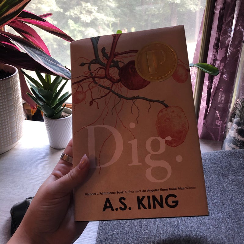 Dig by A. S. King, Hardcover | Pangobooks