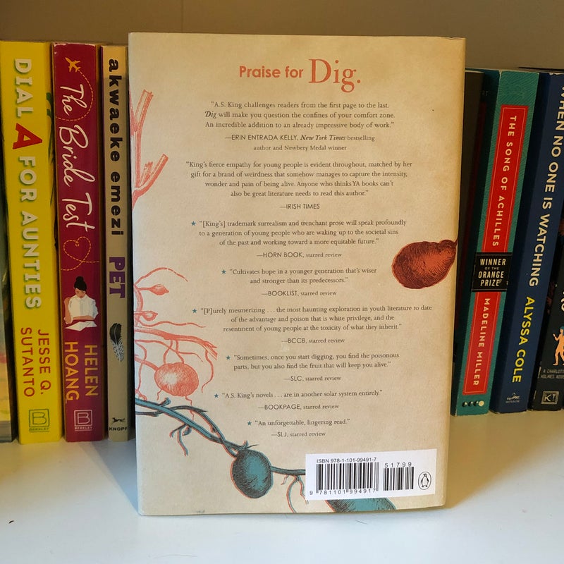 Dig by A. S. King, Hardcover | Pangobooks