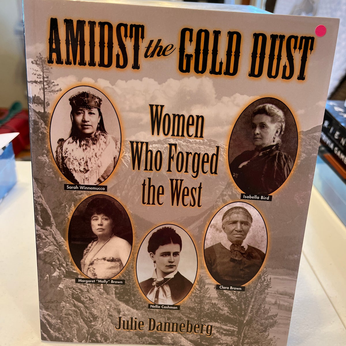 Amidst the Gold Dust by Julie Danneberg, Paperback | Pangobooks
