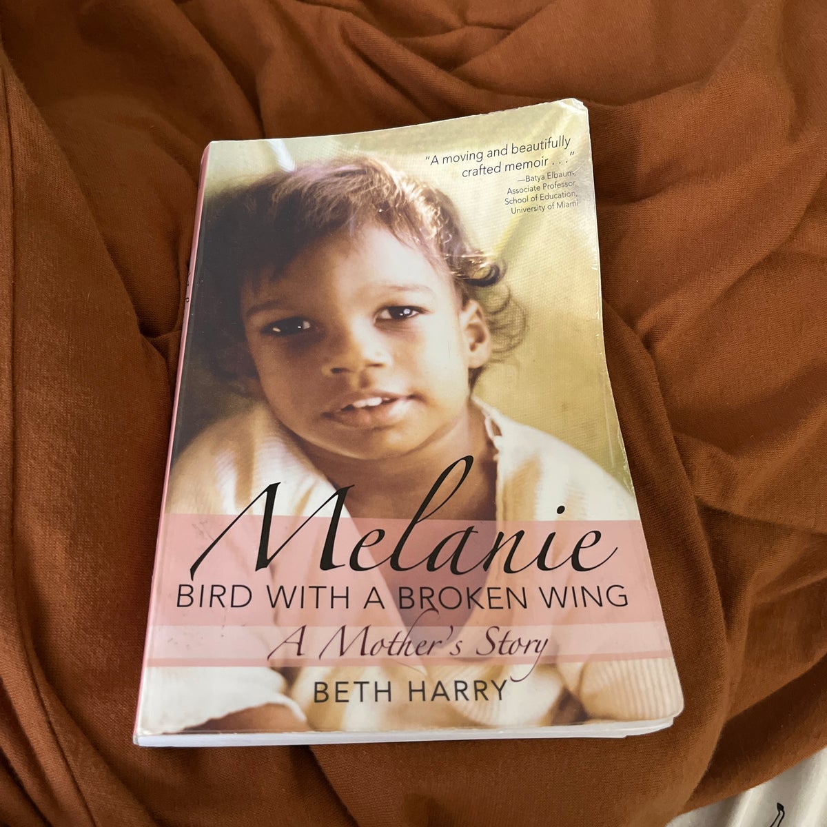 Melanie, Bird with a Broken Wing by Beth Harry