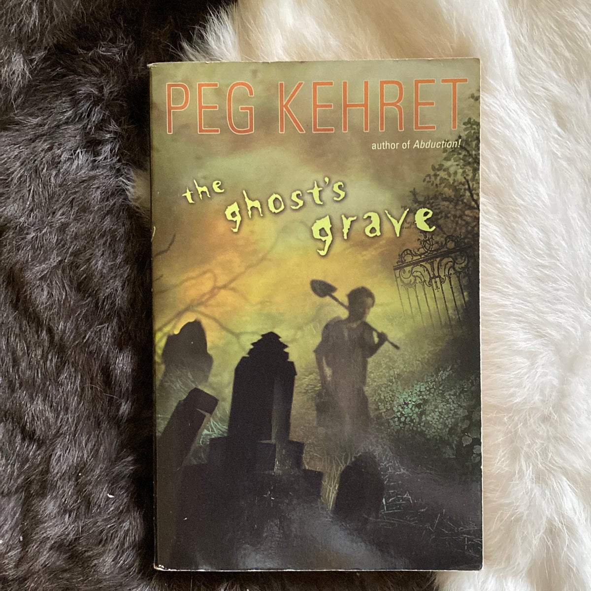 The Ghost's Grave by Peg Kehret