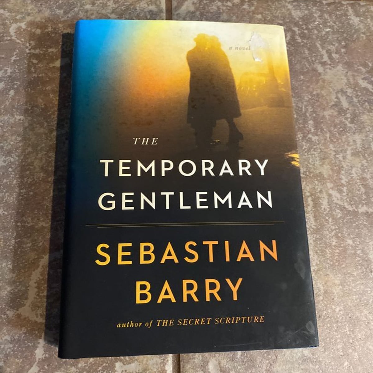 The Temporary Gentleman by Sebastian Barry