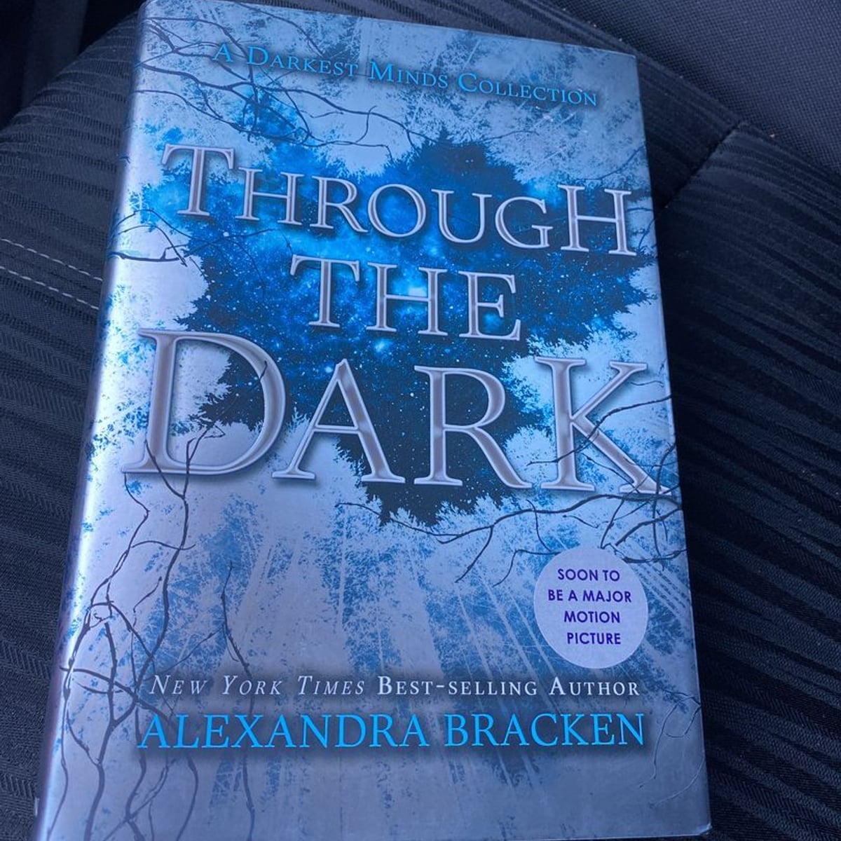 Through the Dark (a Darkest Minds Collection) by Alexandra Bracken