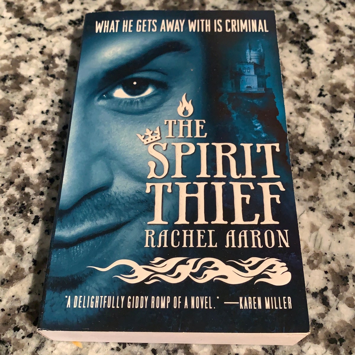 The Spirit Thief by Rachel Aaron
