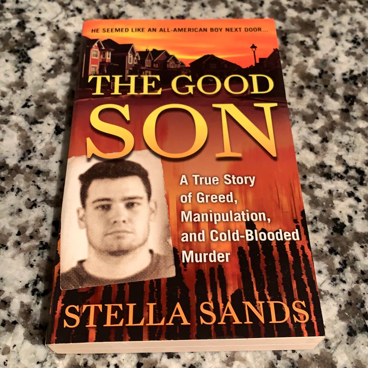 The Good Son by Stella Sands