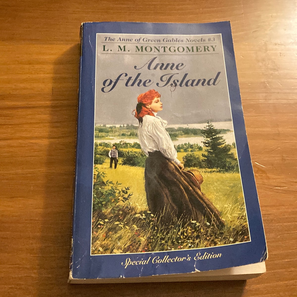 Anne of the Island