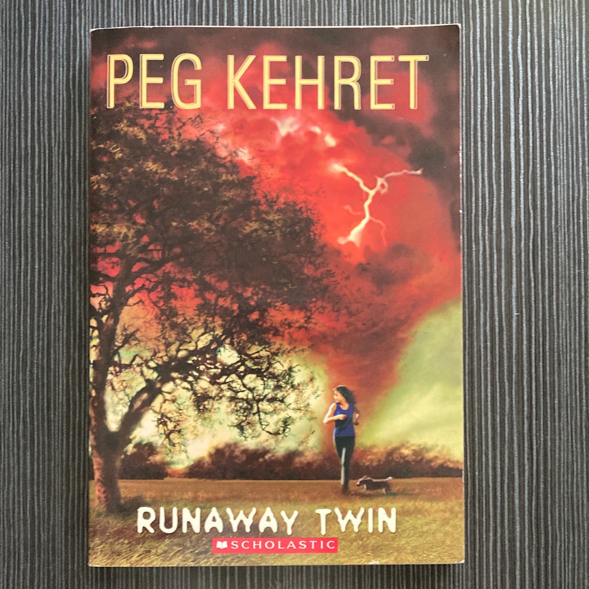 Runaway Twin by Peg Kehret
