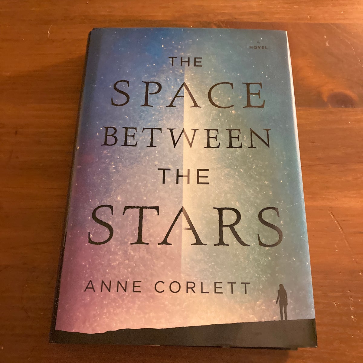 The Space Between the Stars by Anne Corlett