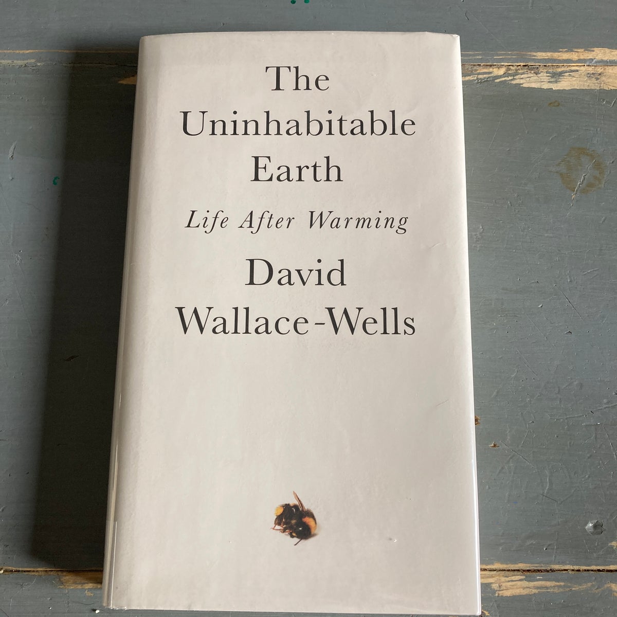 The Uninhabitable Earth by David Wallace-Wells, Hardcover | Pangobooks