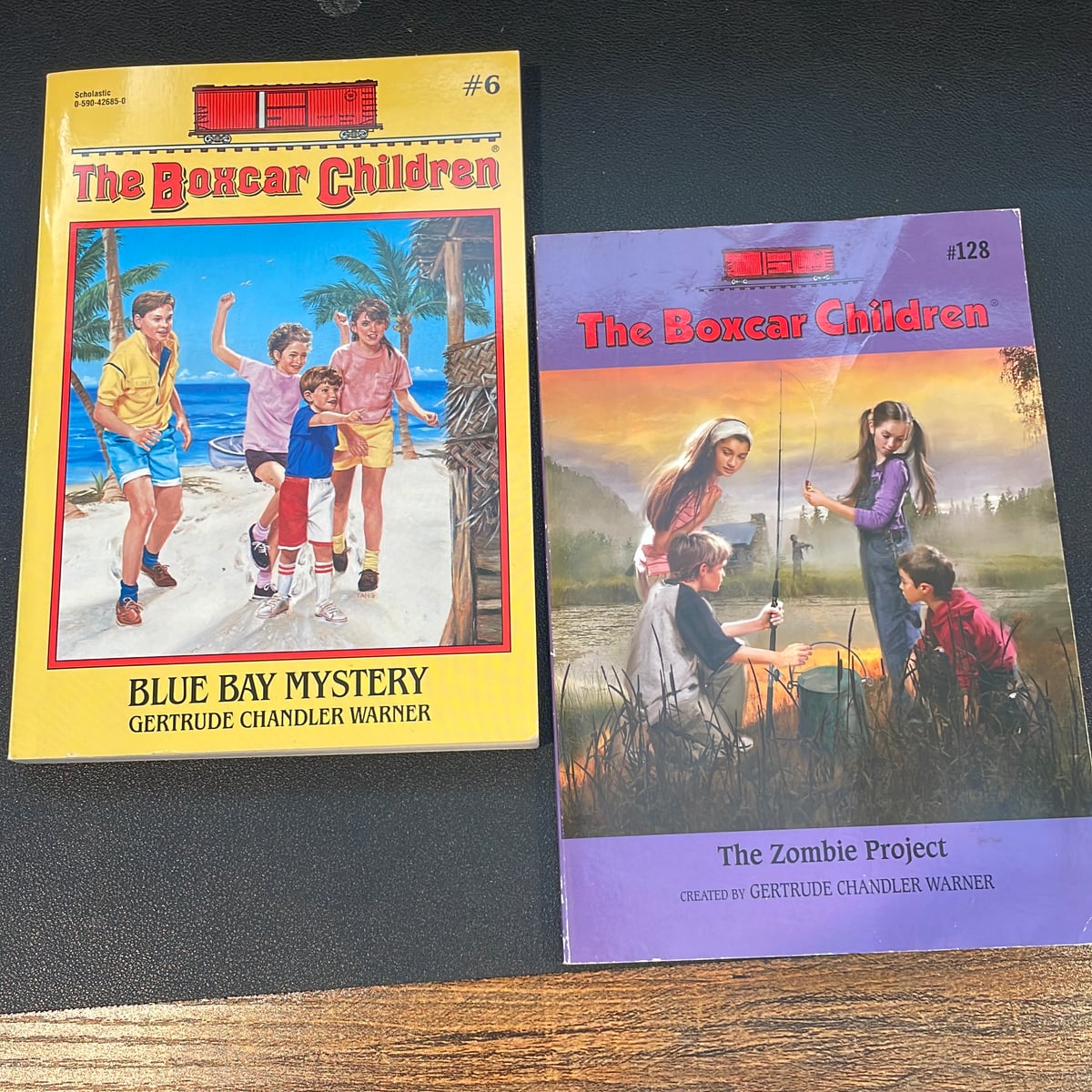 The Zombie Project by Gertrude Chandler Warner