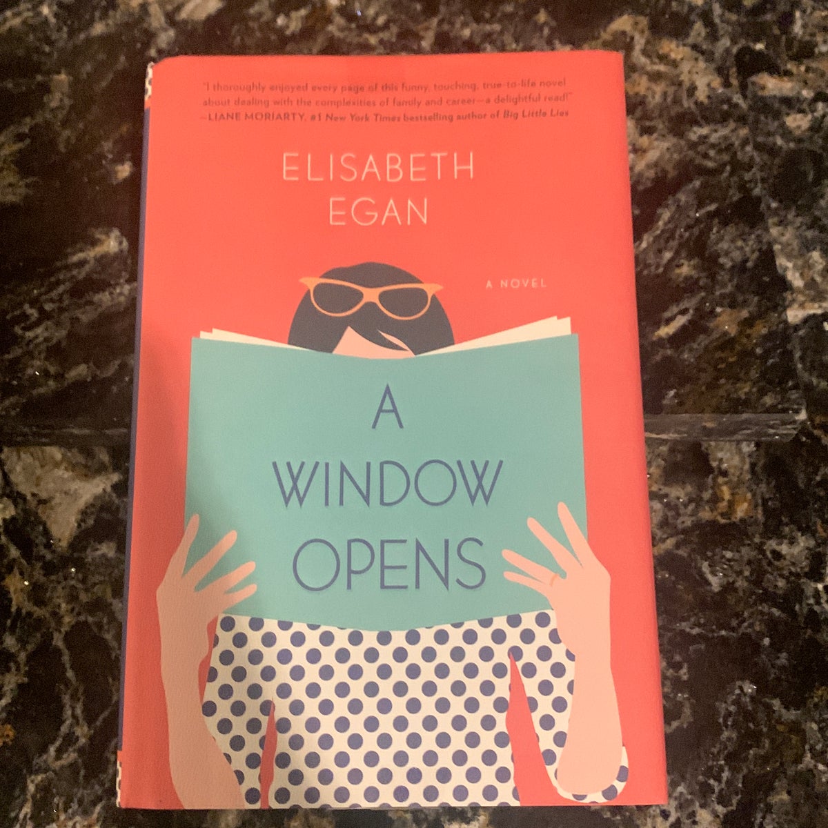 A Window Opens by Elisabeth Egan, Hardcover | Pangobooks
