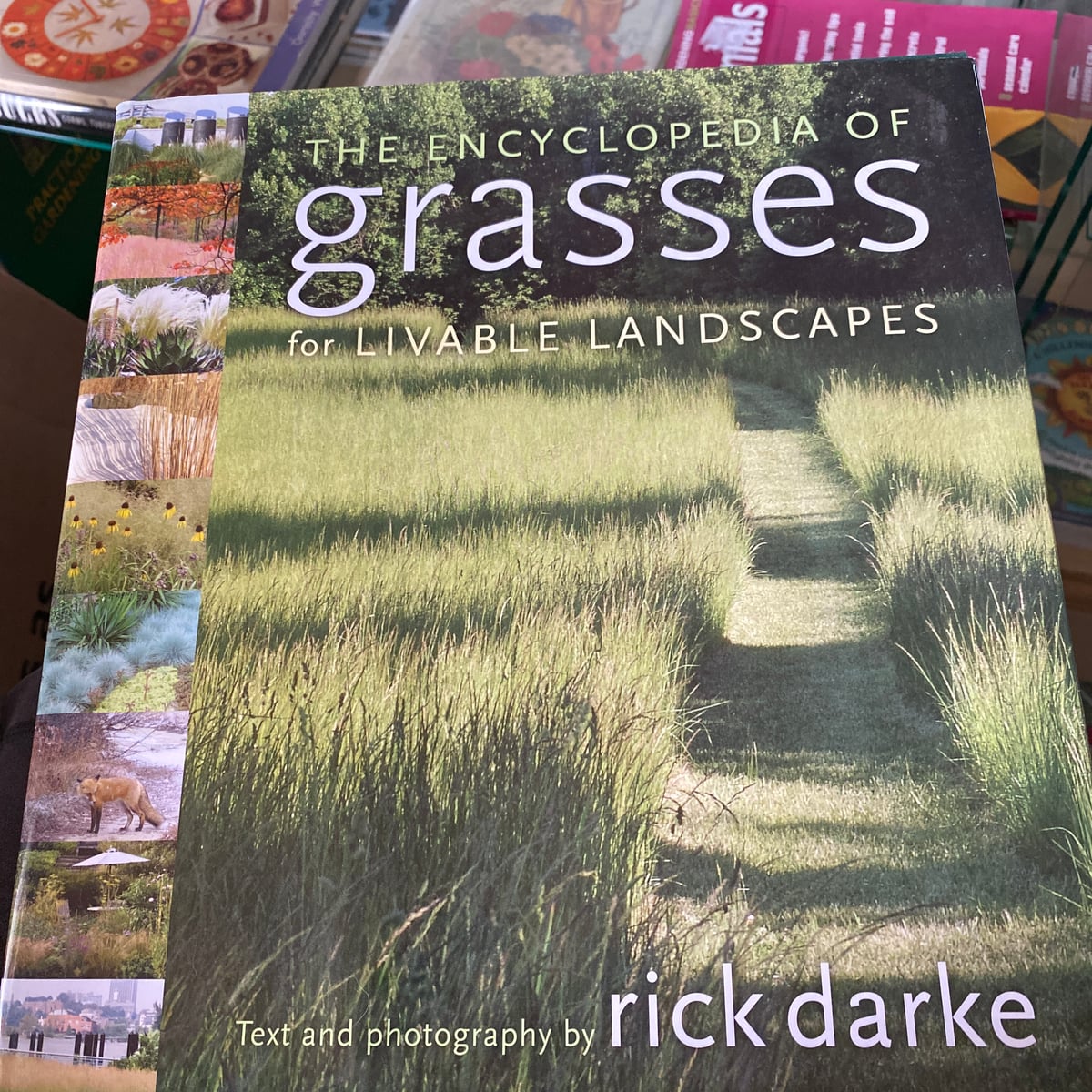 The Encyclopedia of Grasses for Livable Landscapes by Rick Darke