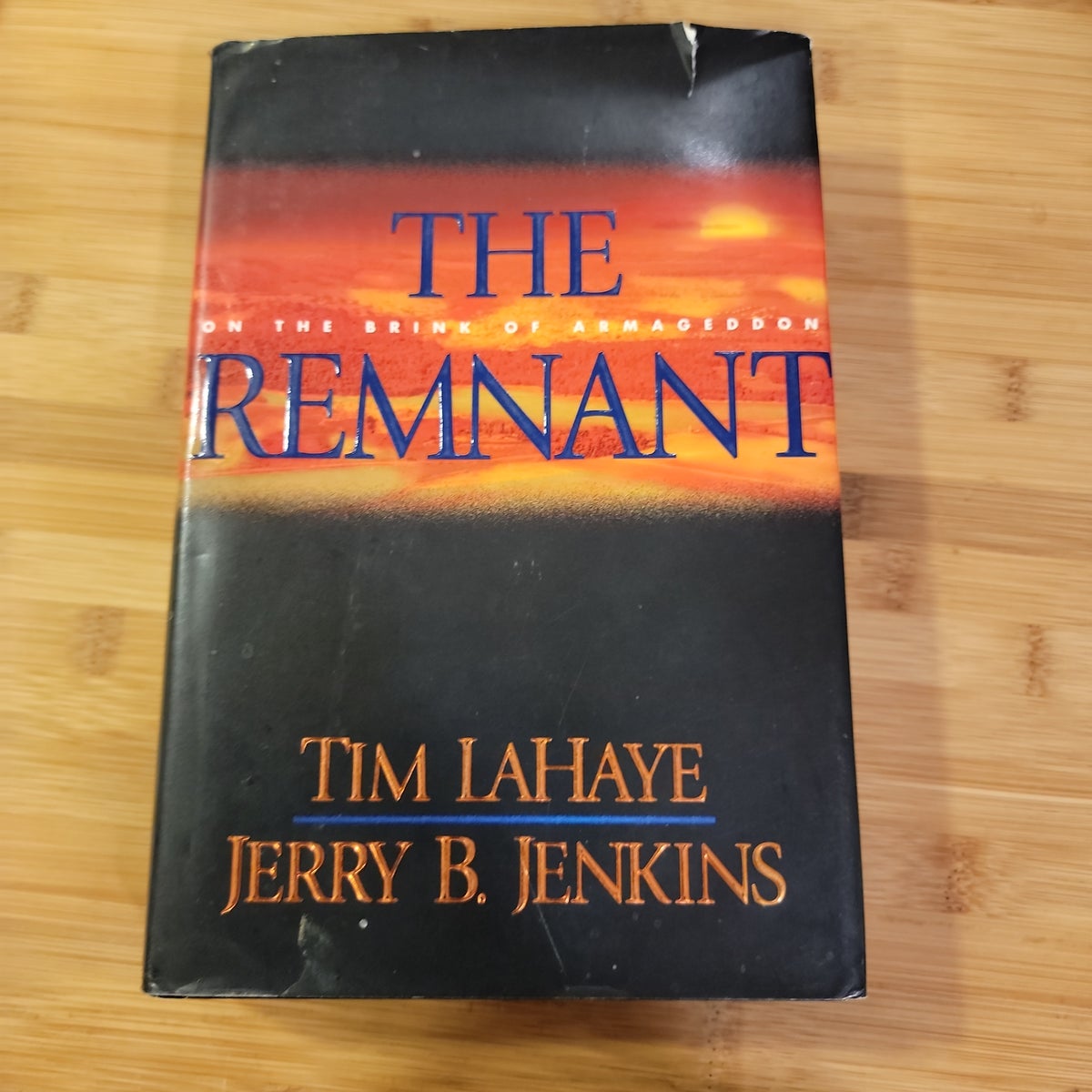 The Remnant by Tim Lahaye; Jerry B. Jenkins, Hardcover | Pangobooks