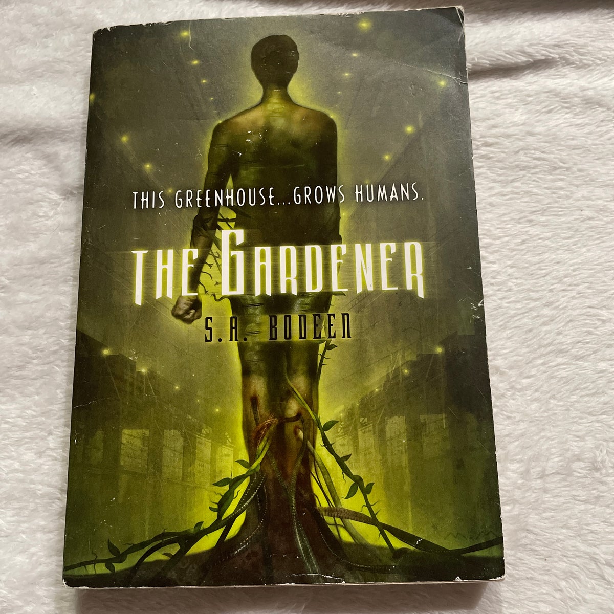 The Gardener by S. A. Bodeen