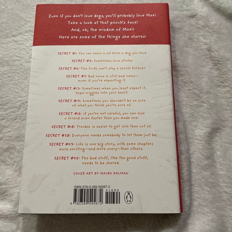 Maxi's Secrets by Lynn Plourde