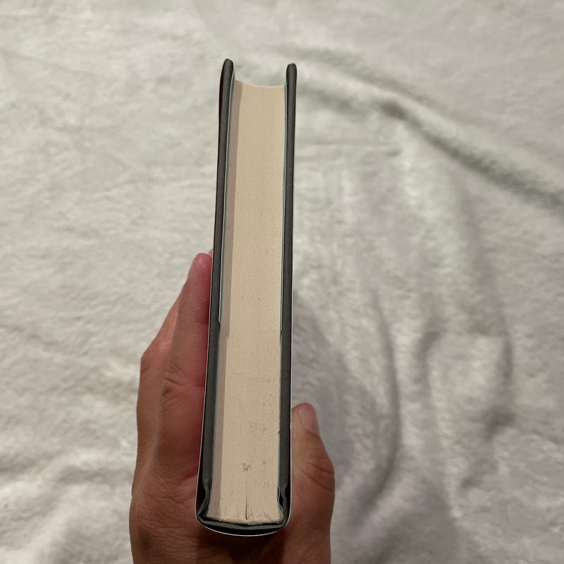 Maxi's Secrets by Lynn Plourde