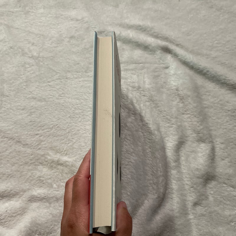 Maxi's Secrets by Lynn Plourde