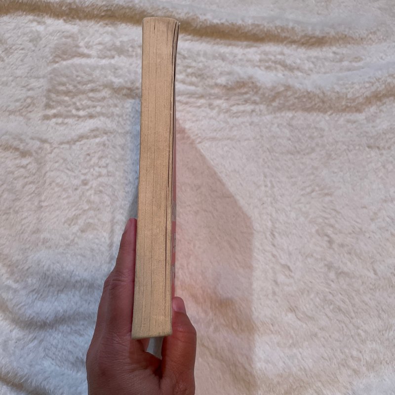 Al Capone Does My Shirts by Gennifer Choldenko