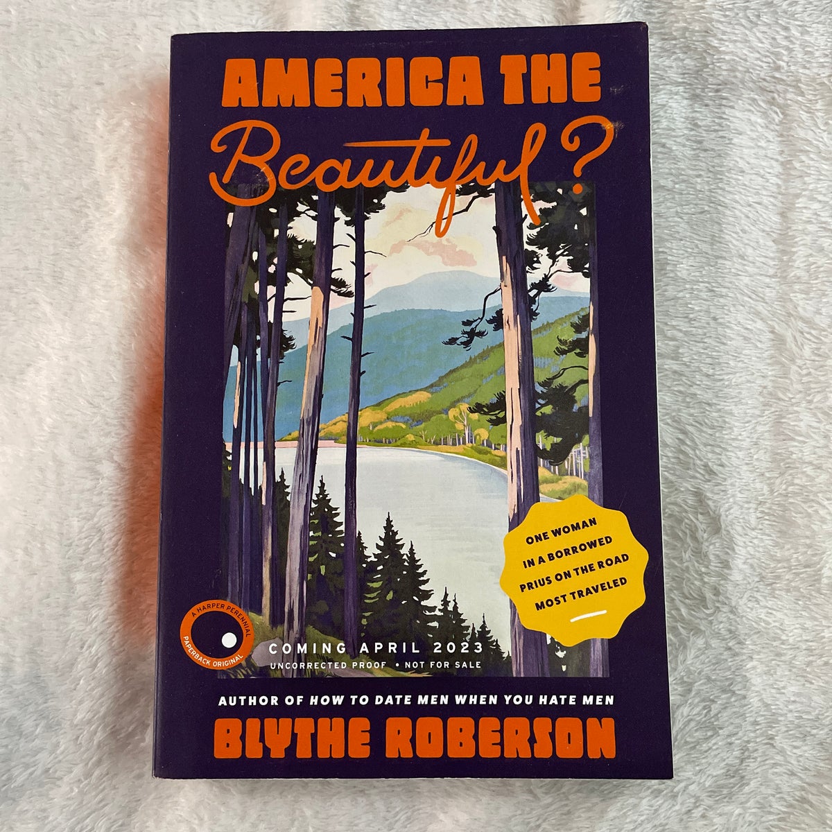 America the Beautiful? by Blythe Roberson