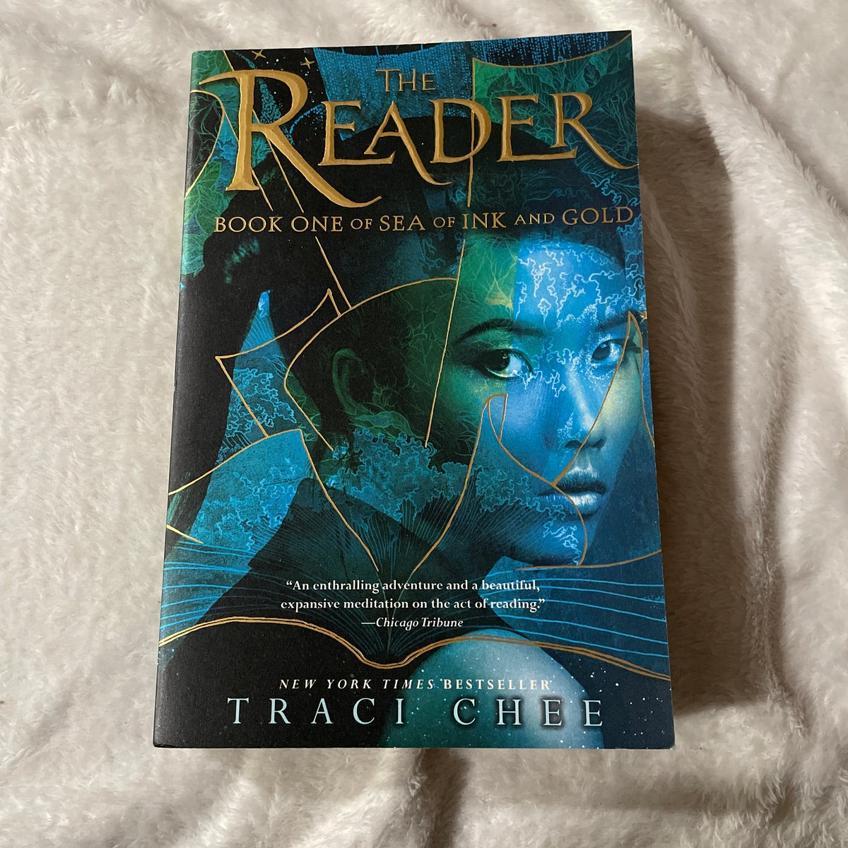 The Reader by Traci Chee