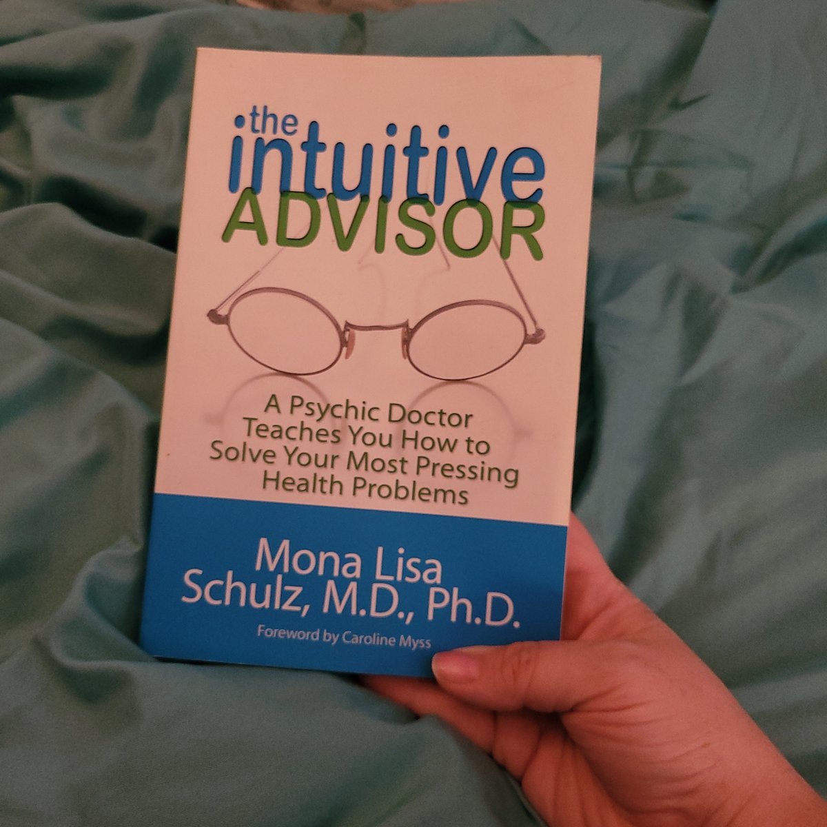 The Intuitive Advisor by Mona Lisa Schulz