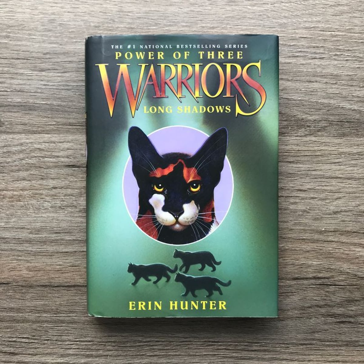 Warriors: Long Shadows by Erin Hunter, Hardcover | Pangobooks